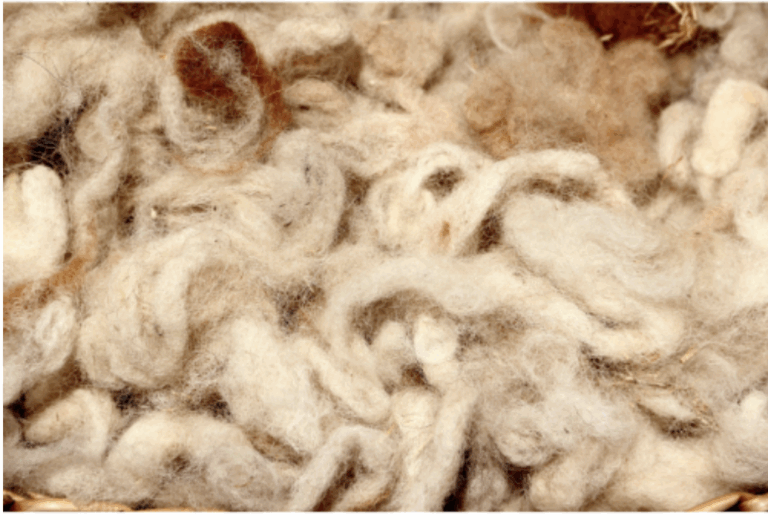 Guide to Alpaca Wool Fabric | Rad Sourcing