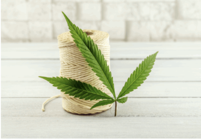 Guide to Hemp Fabric | Rad Sourcing